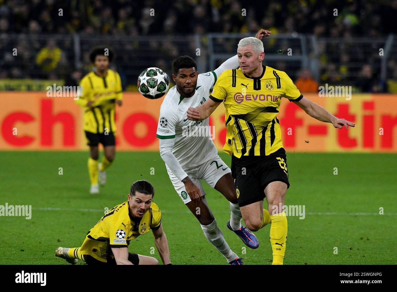 Dortmund, Deutschland. 19th Feb, 2025. Fussball; UEFA Champions League; Saison 2024/2025; Season ...