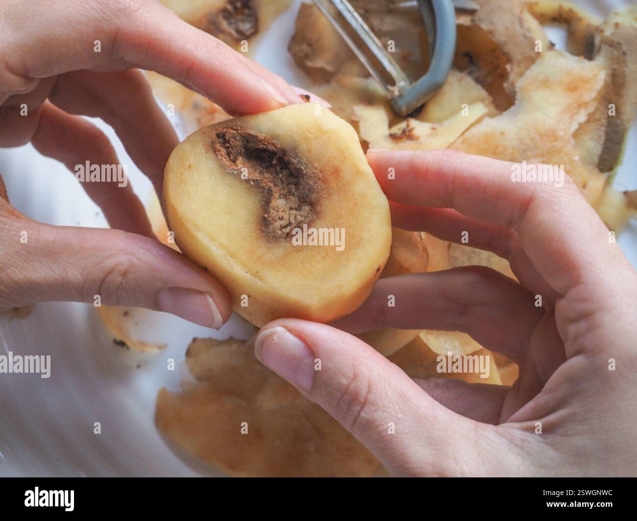 Peeling potatoes. Bad potatoes. Rotten potatoes Stock Photo - Alamy