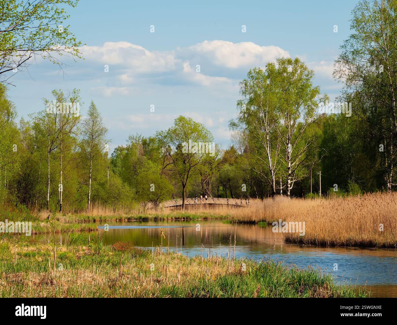 Beautiful spring landscape with an old bridge over the pond in the ...