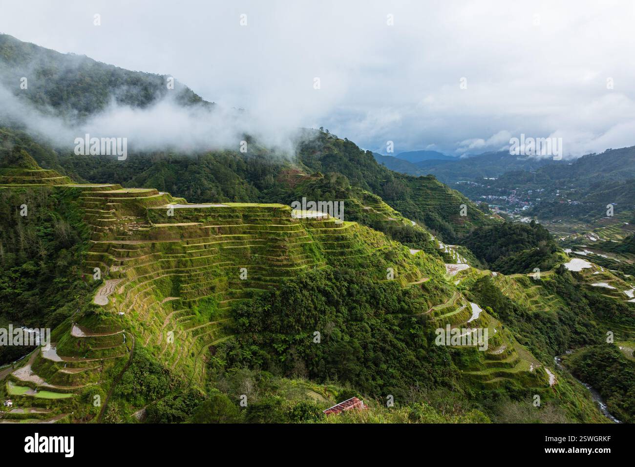Terraced rice fields in Banaue in Cordilella, Philippines Stock Photo ...