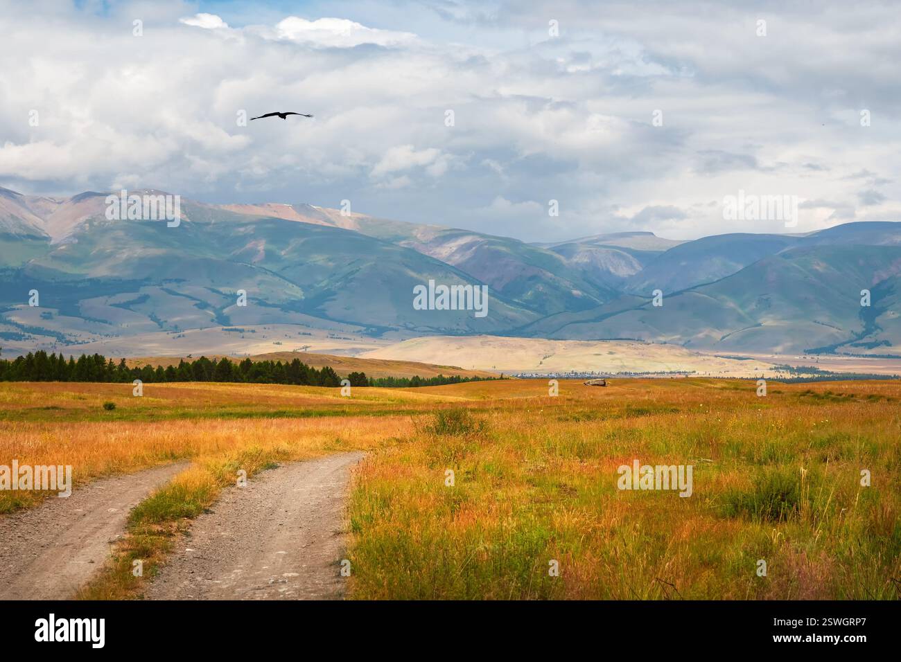 Summer turn path through mountains. Trekking mountain trail ...