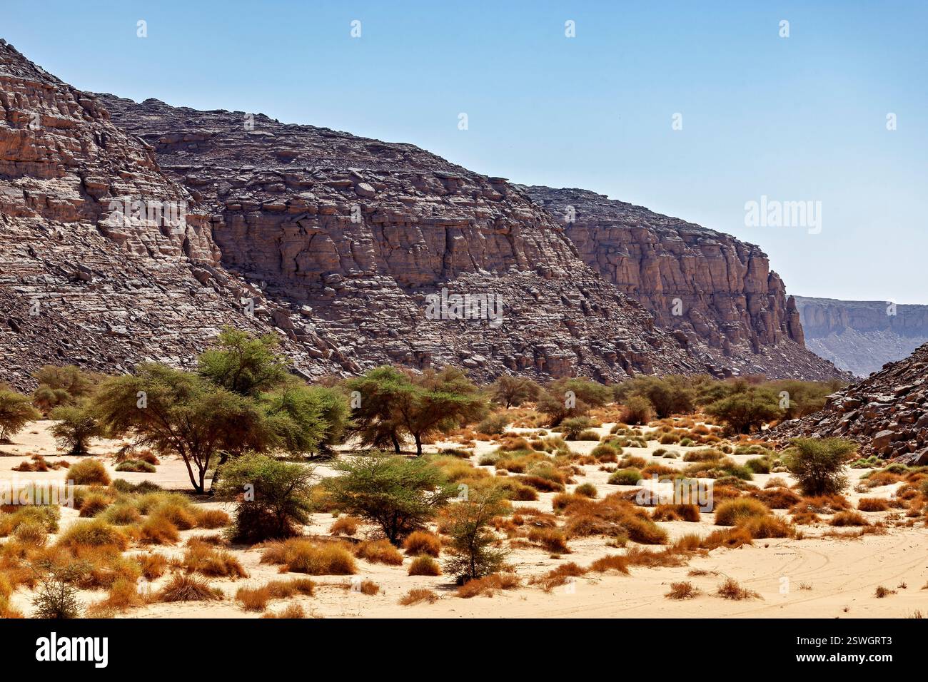 The Rocks and Gorge of the Sahara Desert in Algeria Stock Photo - Alamy