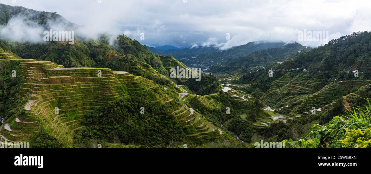 Terraced rice fields in Banaue in Cordilella, Philippines Stock Photo ...