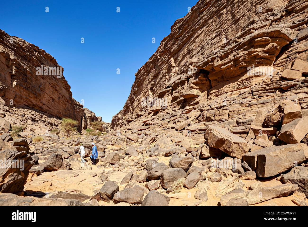 The Rocks and Gorge of the Sahara Desert in Algeria Stock Photo - Alamy