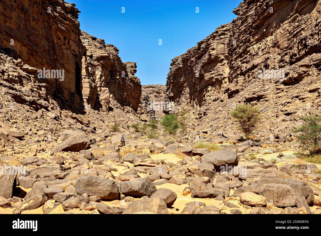 The Rocks and Gorge of the Sahara Desert in Algeria Stock Photo - Alamy