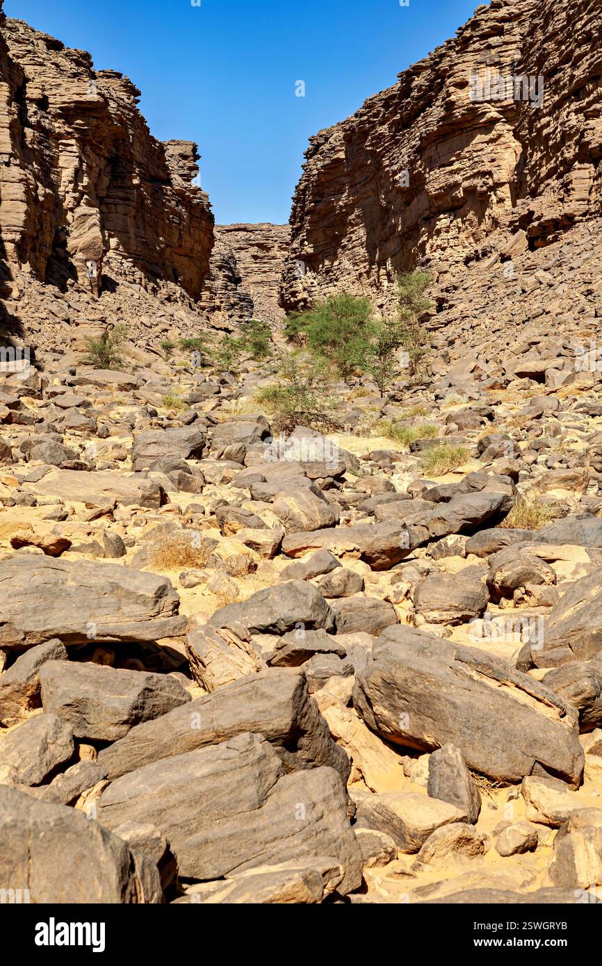 Hoggar aerial hi-res stock photography and images - Alamy