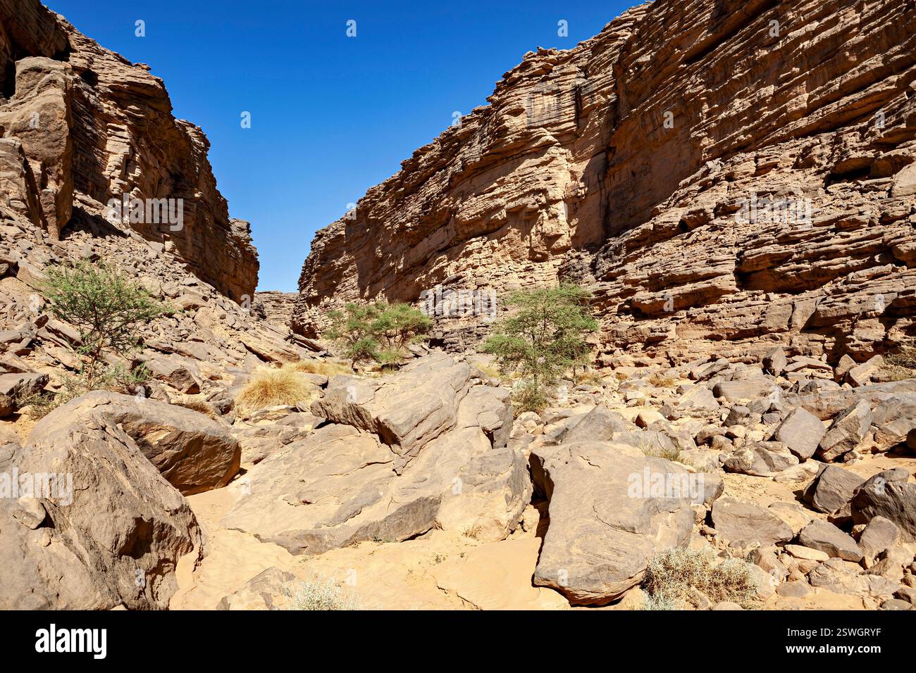 The Rocks and Gorge of the Sahara Desert in Algeria Stock Photo - Alamy