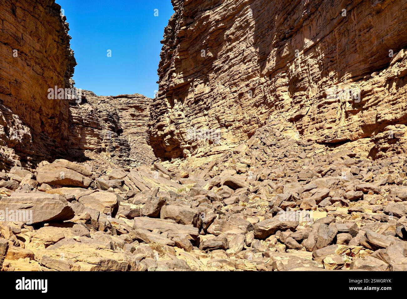 The Rocks and Gorge of the Sahara Desert in Algeria Stock Photo - Alamy