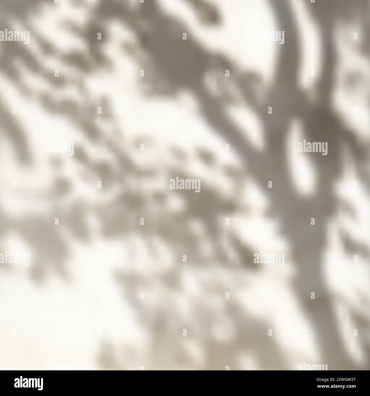 Tree Shadow Overlay for Branding, Organic Aesthetics, Minimalist Design ...