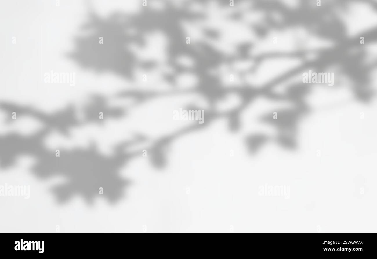 Soft Blurred Shadow Overlay with Natural Leaf Patterns for Elegant ...