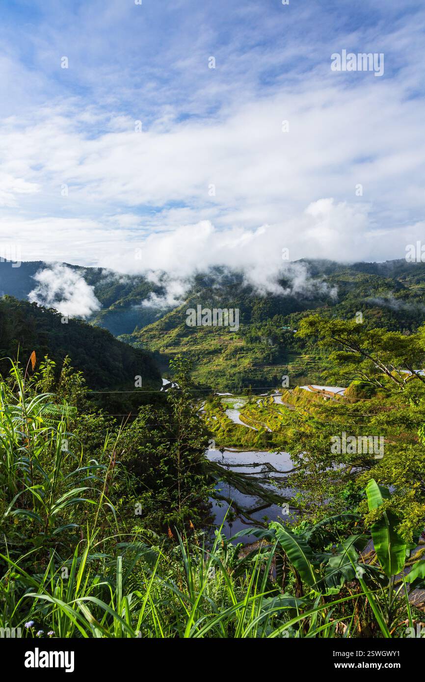 Terraced rice fields in Banaue, Philippines Stock Photo - Alamy