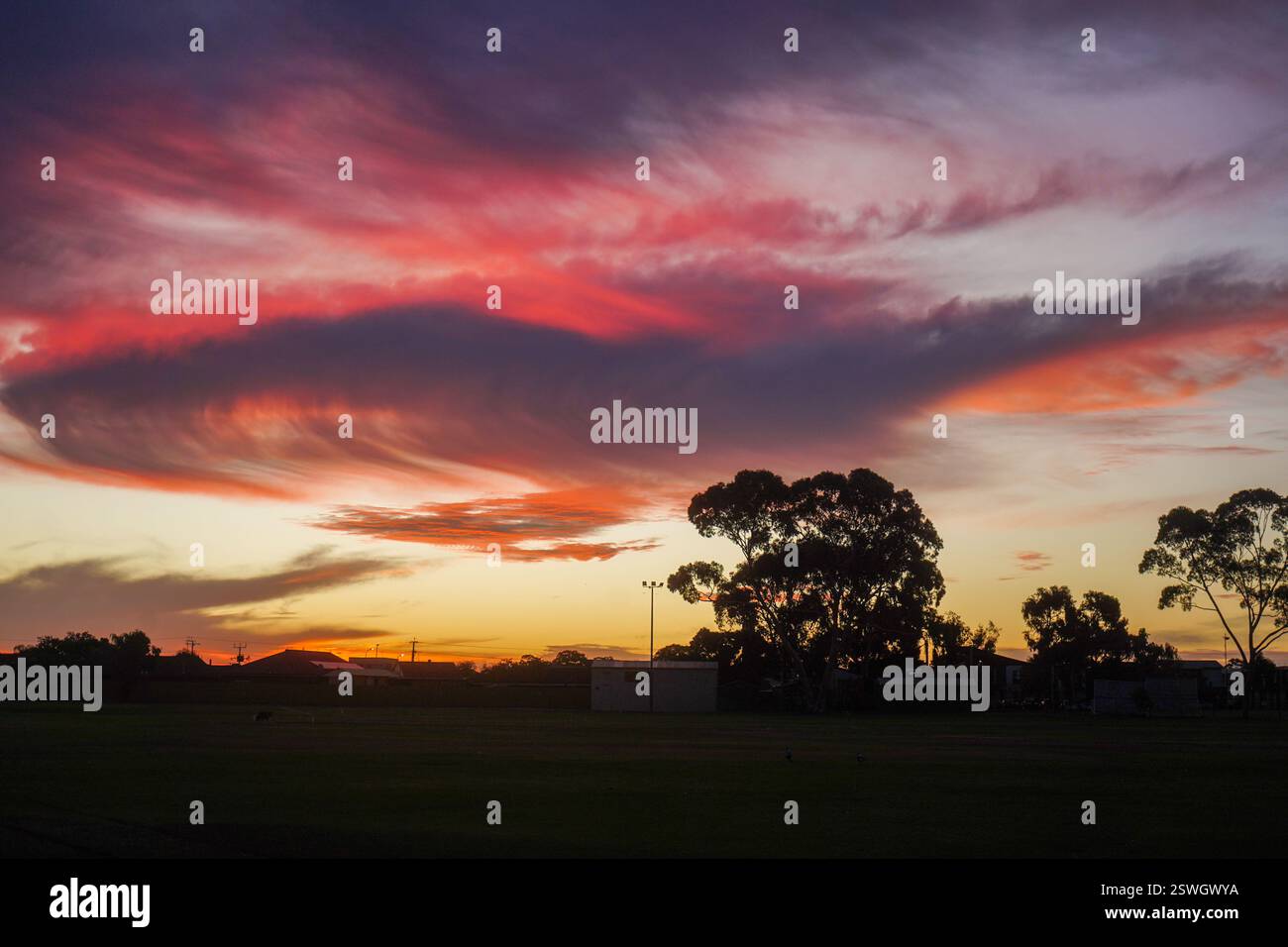 Adelaide, Australia 21 February 2025. Eucalyptus trees are silhouetted ...
