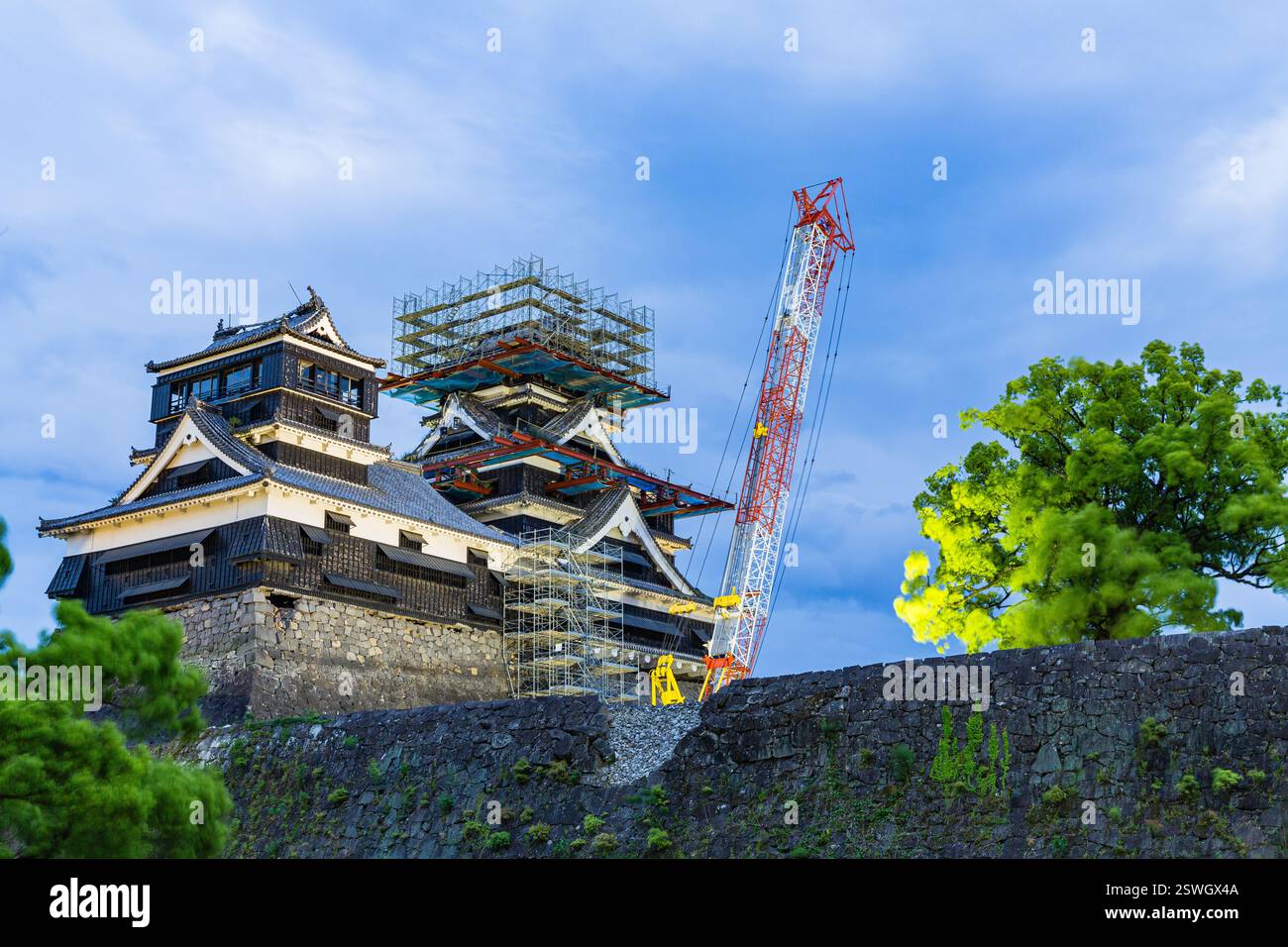 The castle tower of Kumamoto Castle under restoration that was lit up ...