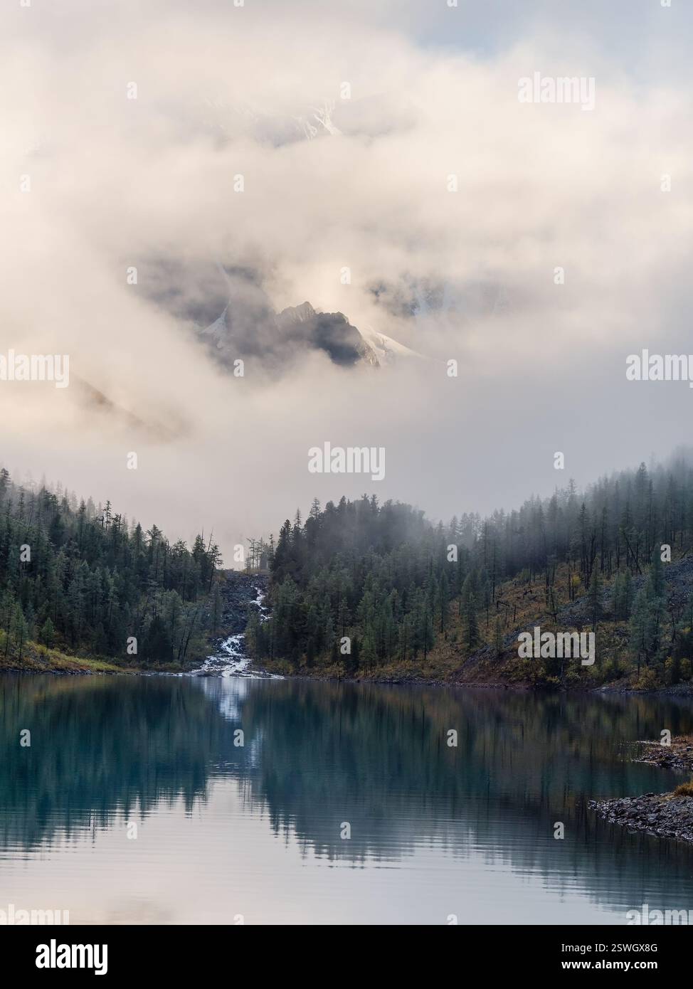 Atmospheric alpine landscape with trees near mountain lake and high ...