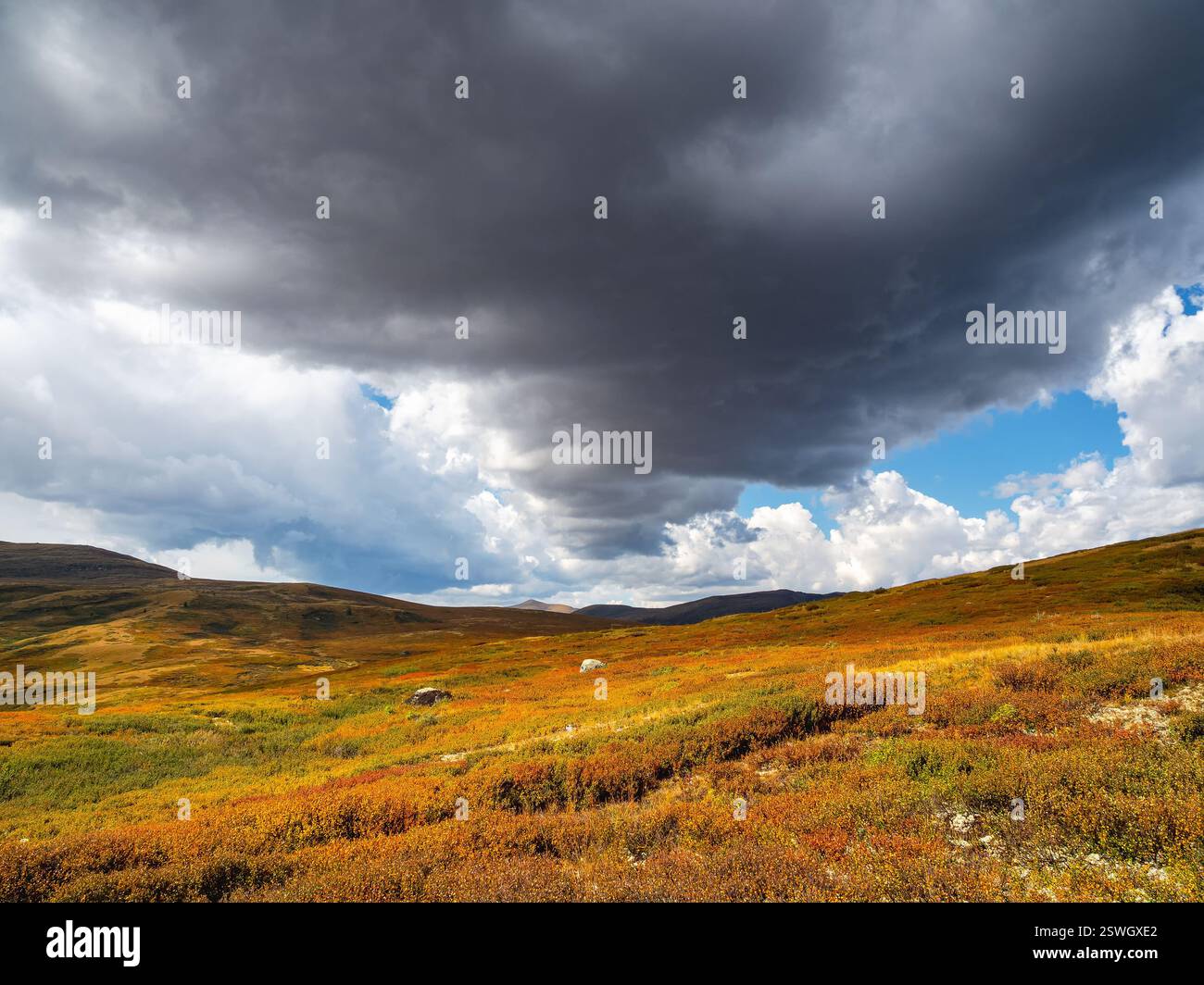 Light and darkness. Sunny light through dark heavy thunderstorm clouds before rain. Dramatic ...
