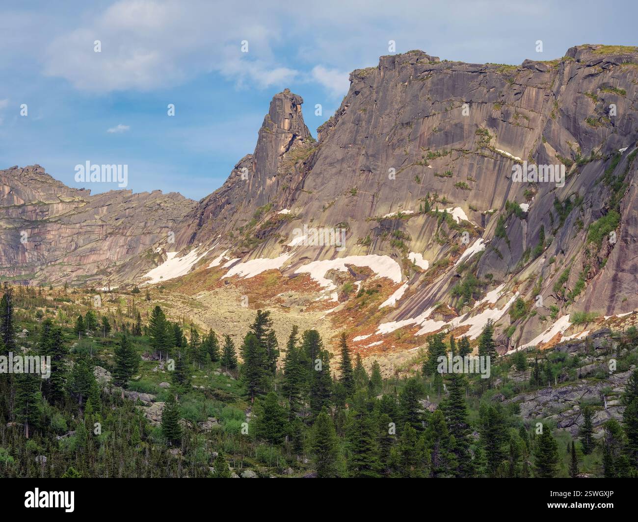 Coniferous forest at the foot of high cliffs Stock Photo - Alamy