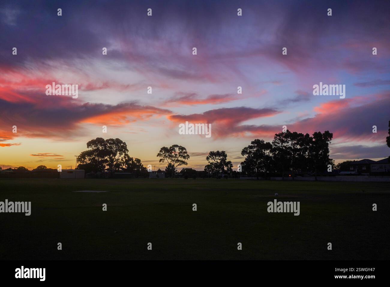 Adelaide, Australia 21 February 2025. Eucalyptus trees are silhouetted ...