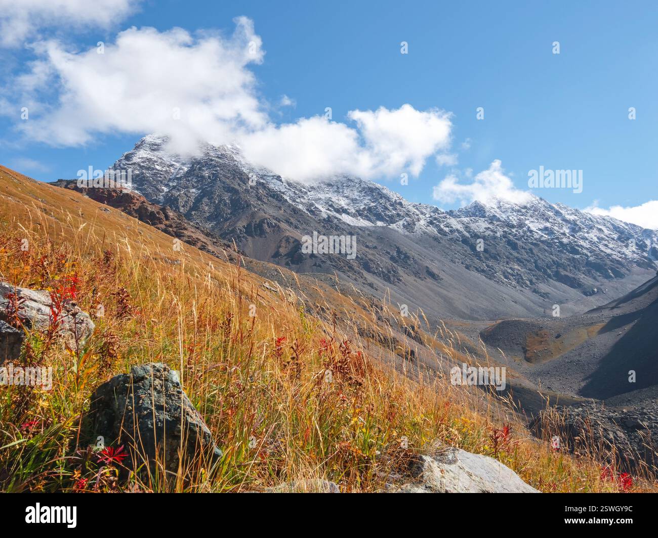 Minimalist autumn landscape with diagonal orange mountainside covered ...
