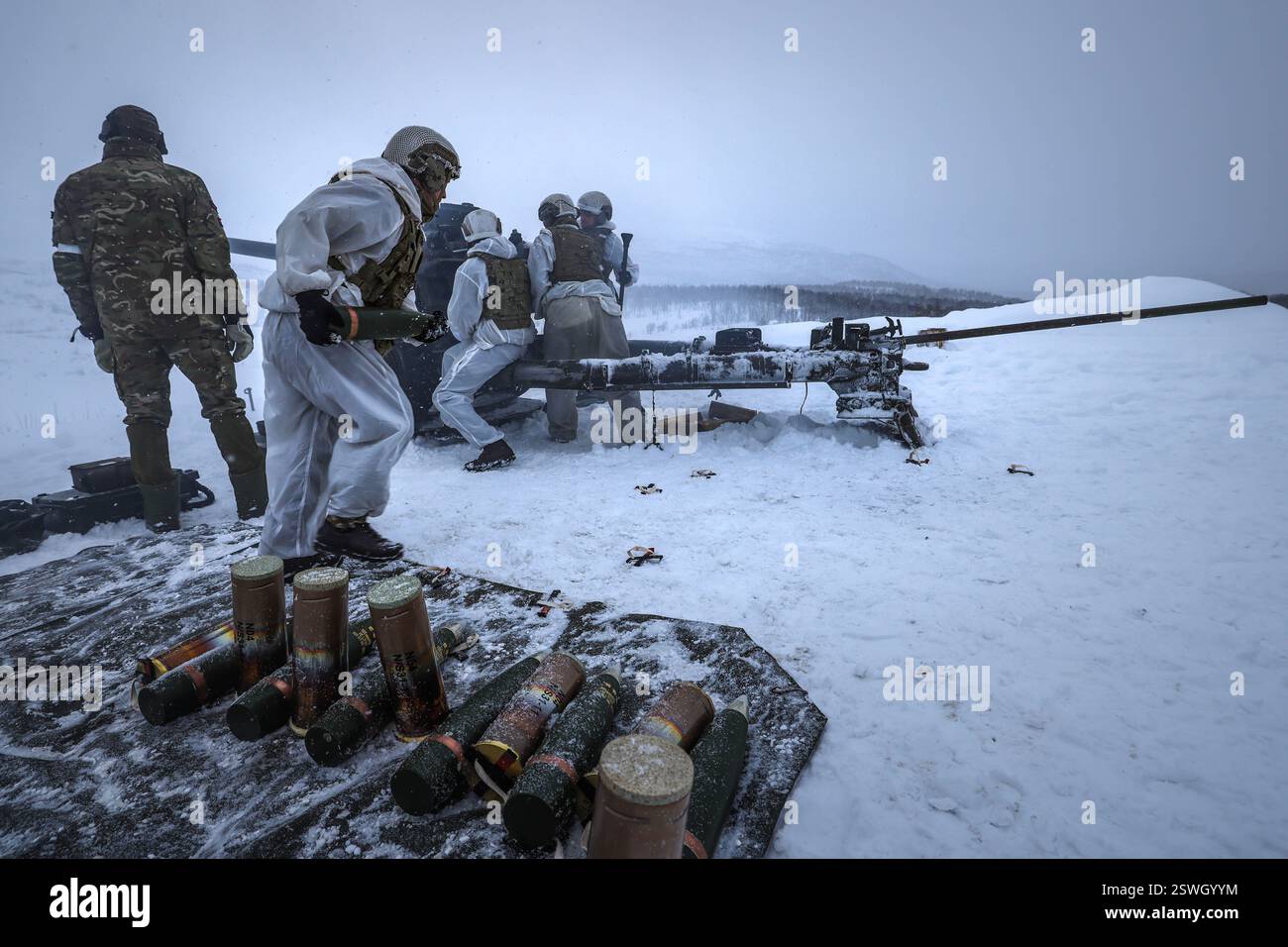 Undated handout photo issued by the Ministry of Defence of Army ...