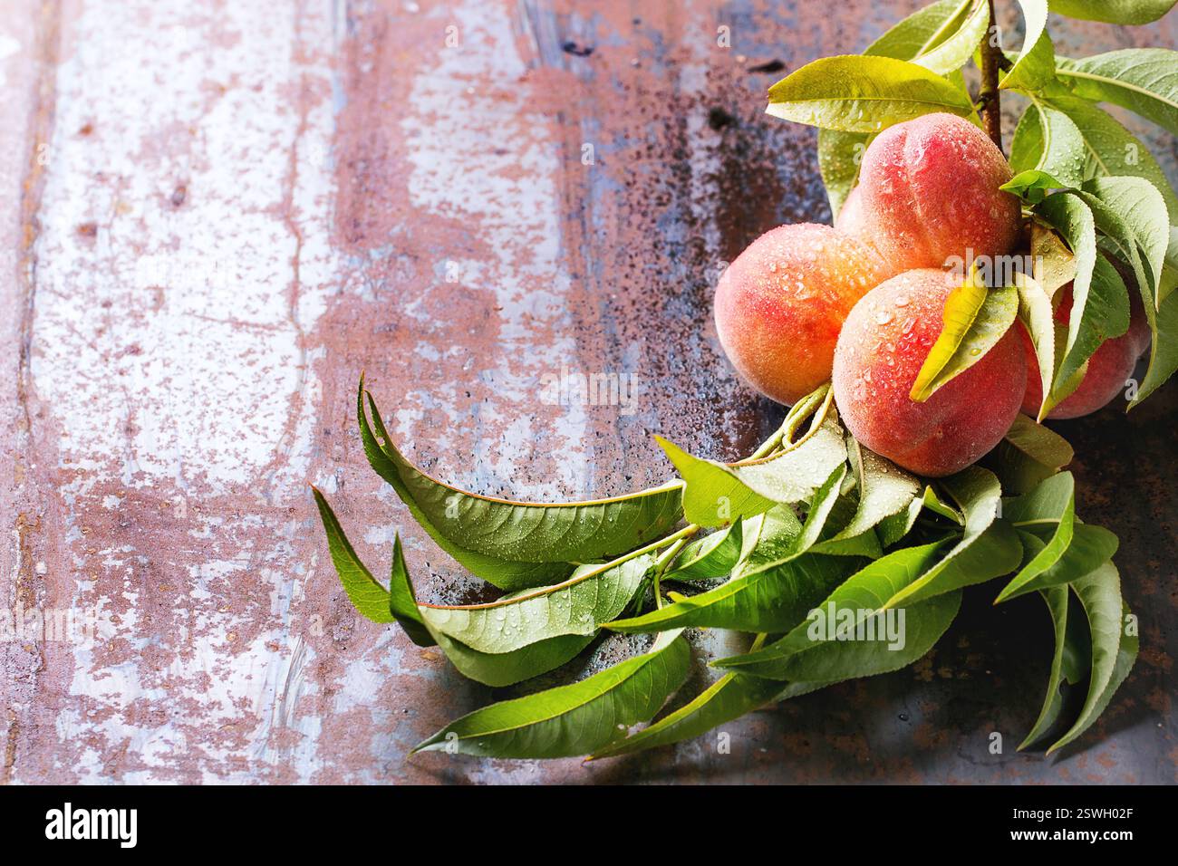 Peaches on branch with leaves on old metal background. See series Stock ...
