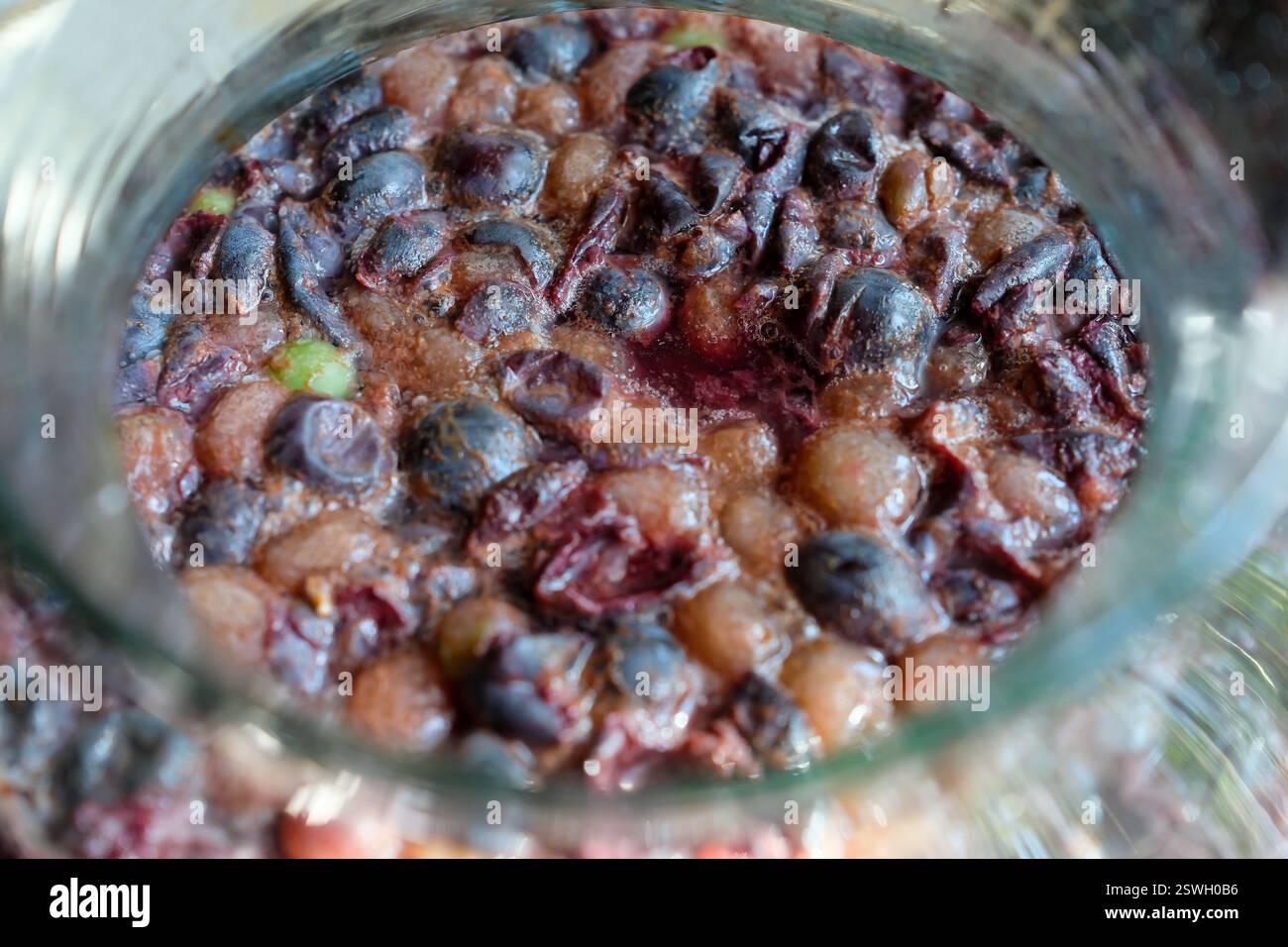 Fermented wine material in the glass jar. Red wine in the fermentation ...