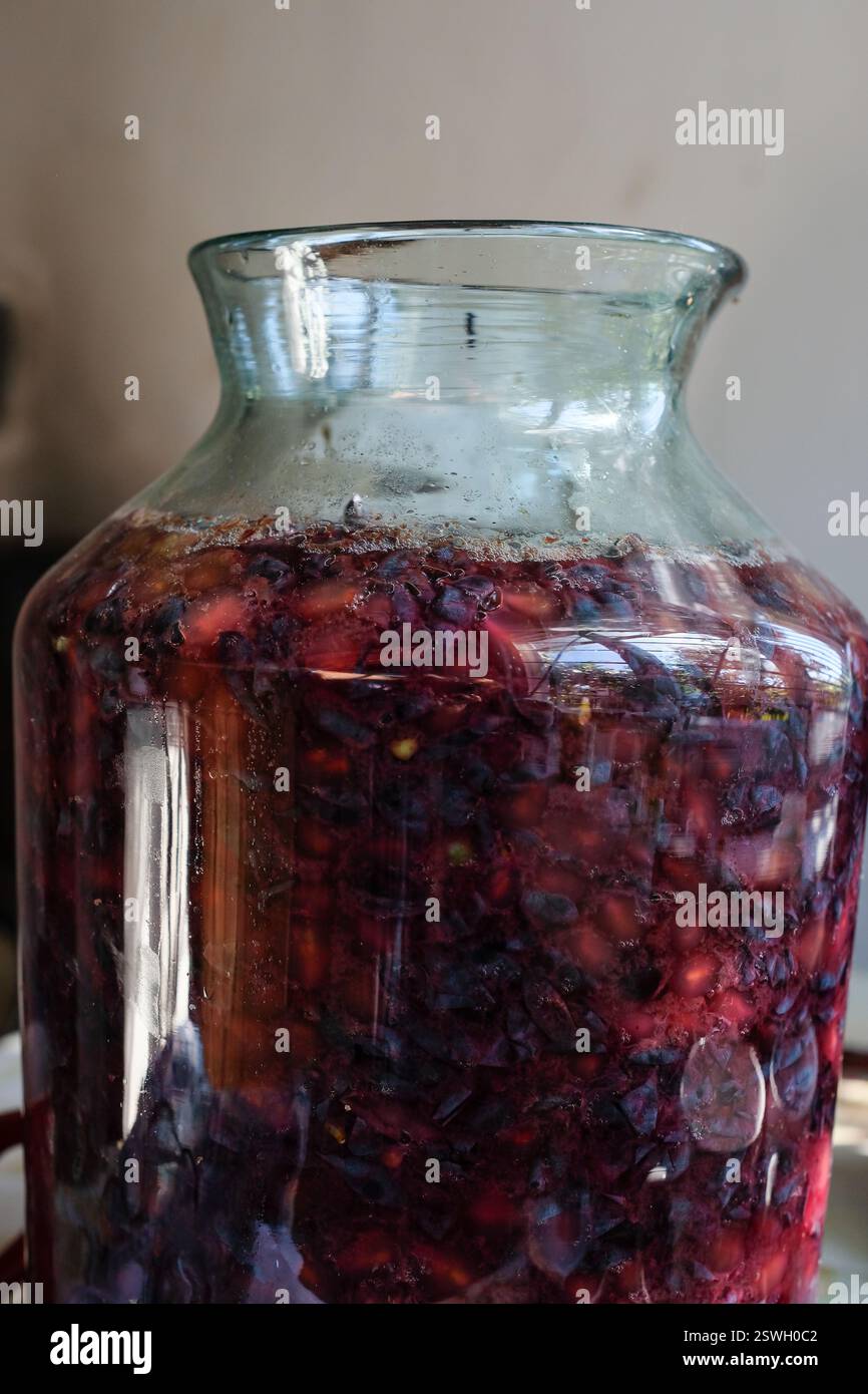 Fermented wine material in the glass jar. Red wine in the fermentation ...