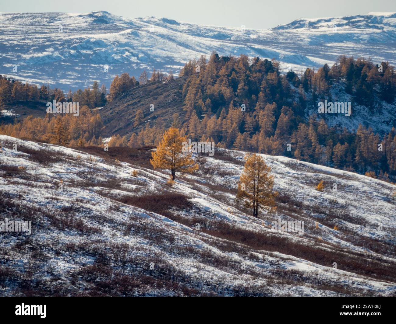 Autumn snow in foothills hi-res stock photography and images - Alamy