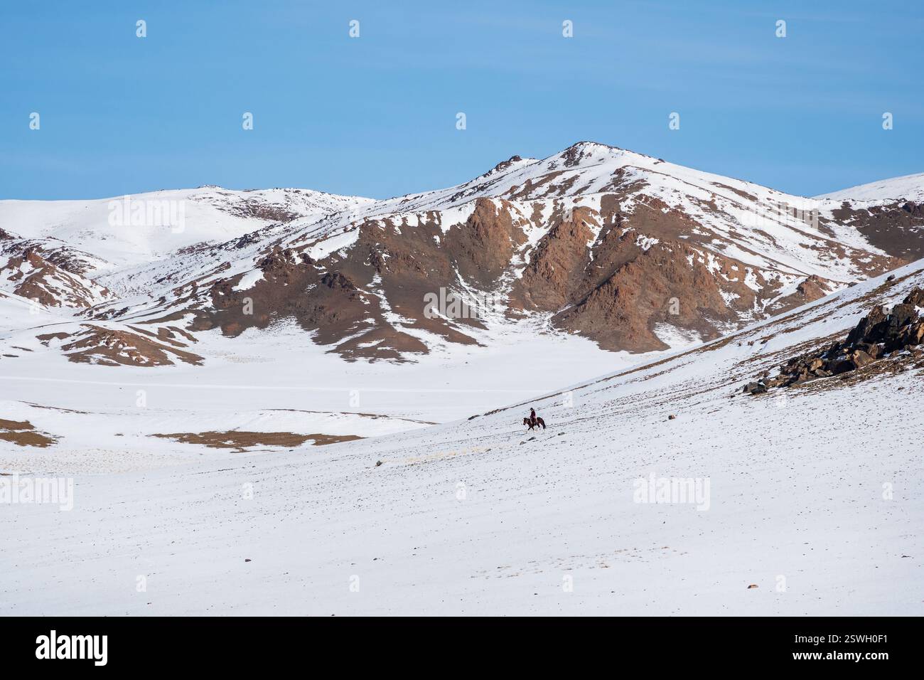 Horse on slope cowboy hi-res stock photography and images - Alamy