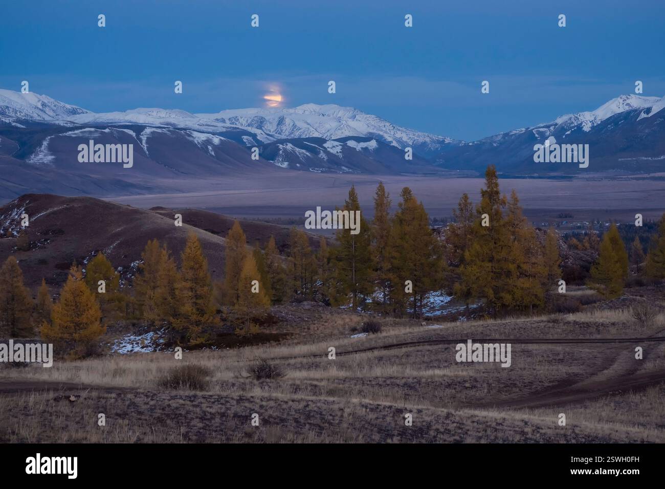 Full moon behind frozen hi-res stock photography and images - Alamy