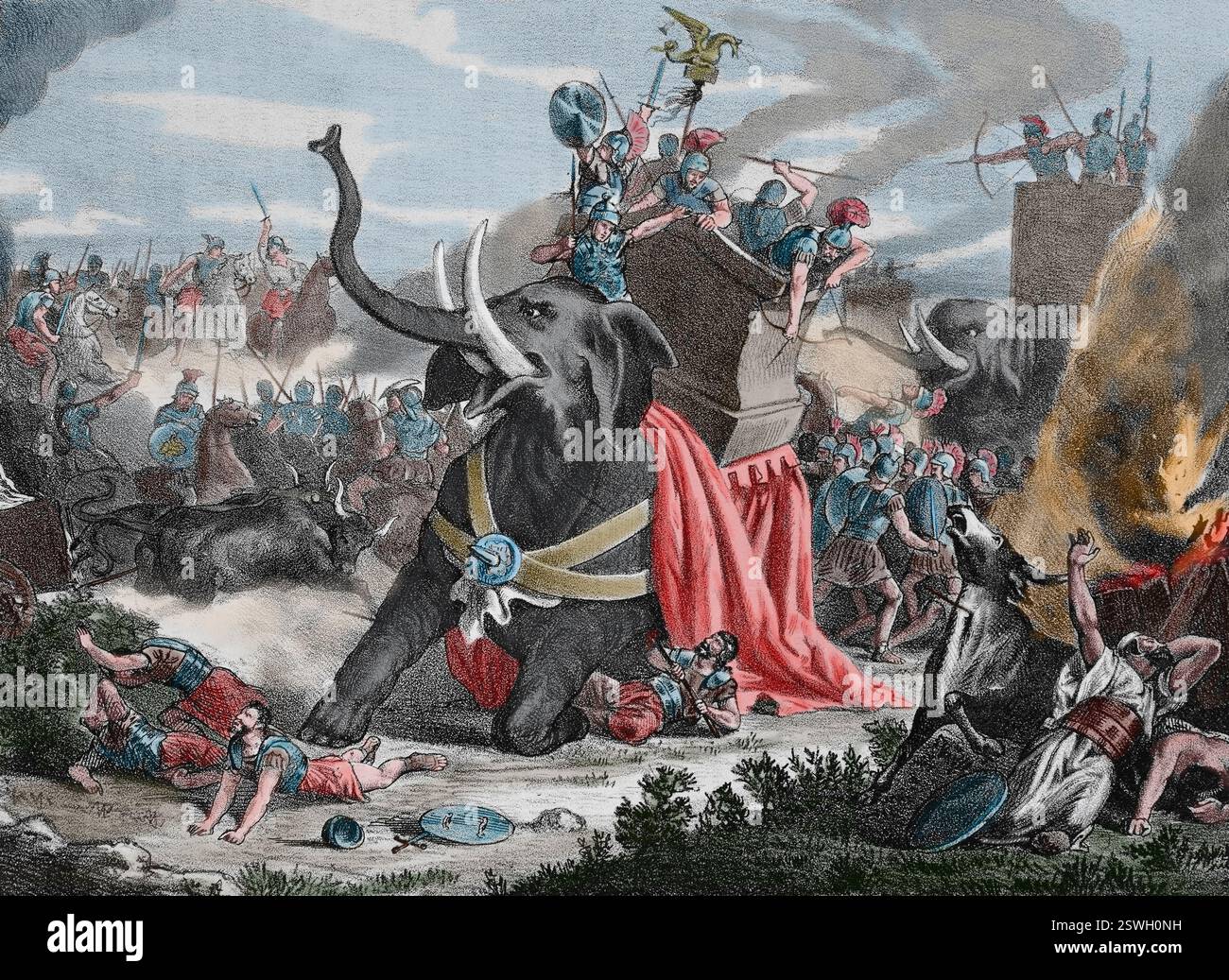 Carthaginian general Hamilcar Barca using war elephants to conquer ...