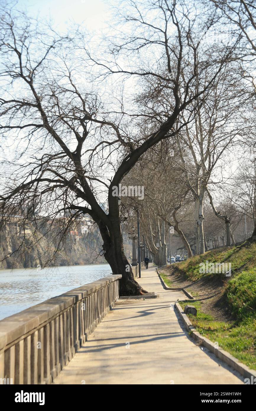Streets of Tbilisi, the capital of Georgia in early spring Stock Photo ...