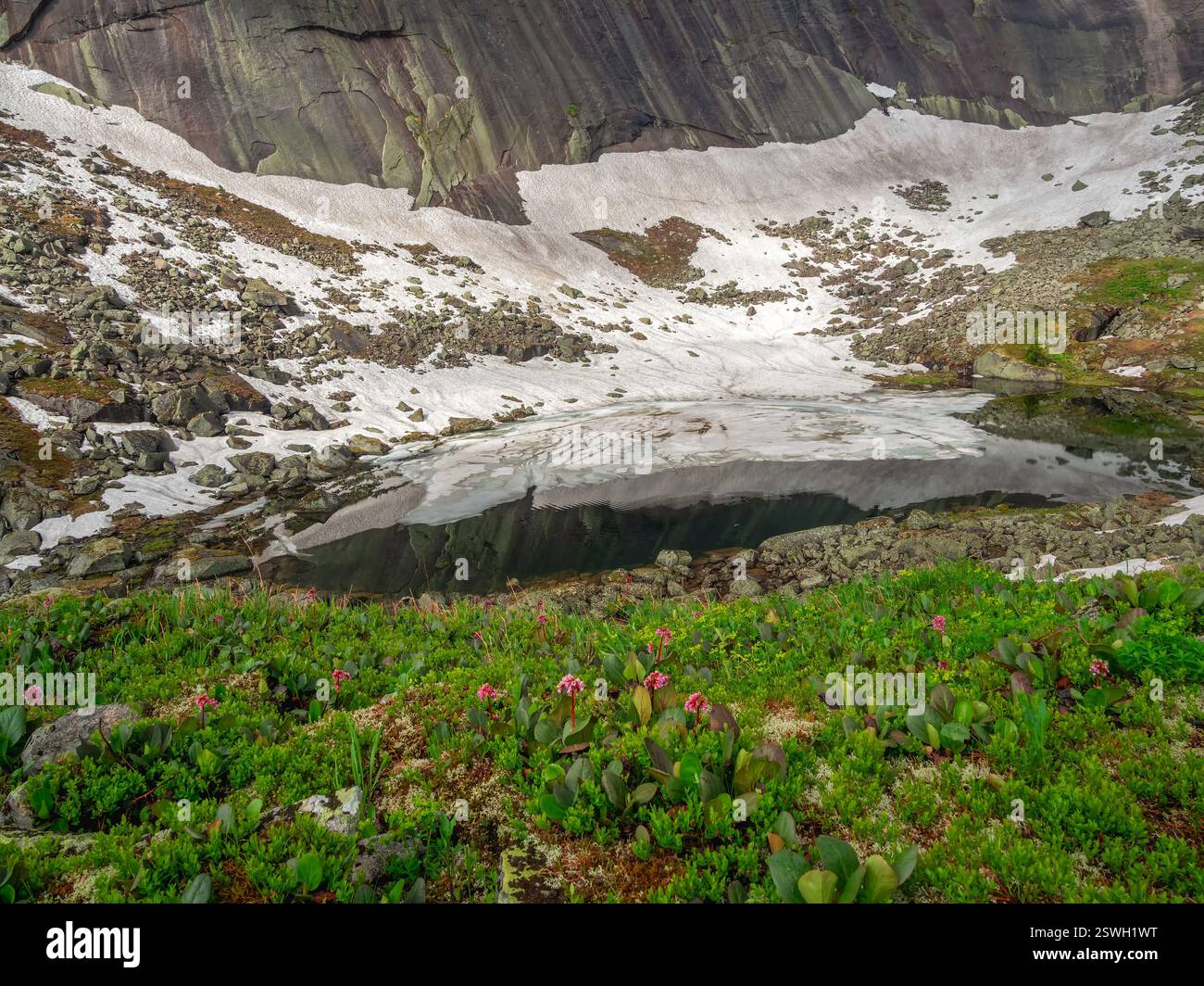 Vivid green landscape with beautiful alpine lake close up. Small ...