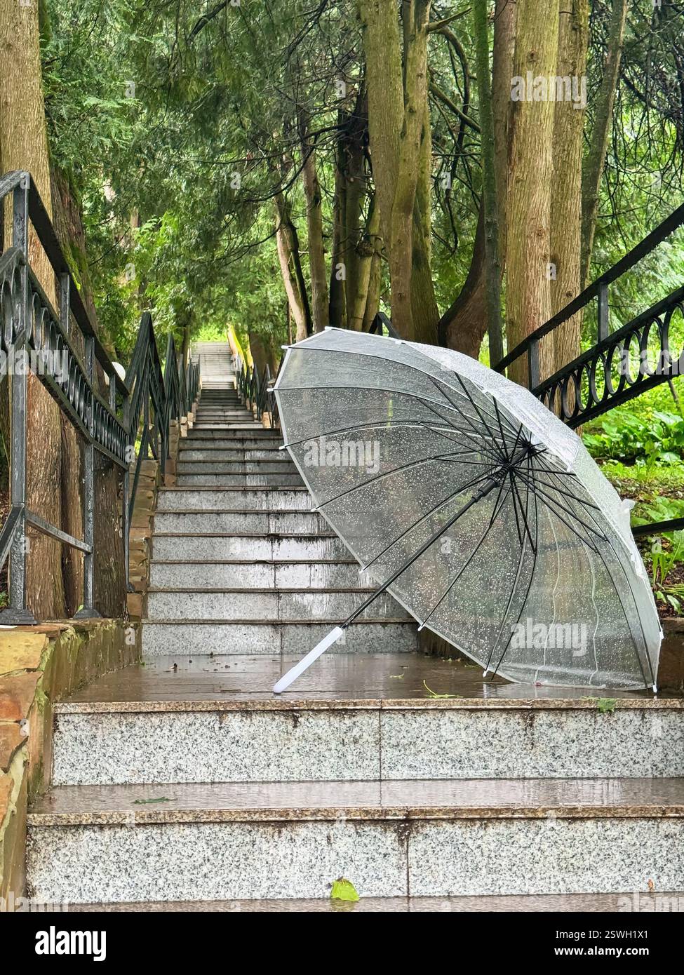 White transparent umbrella on the stairs after the rain. Rainy weather ...