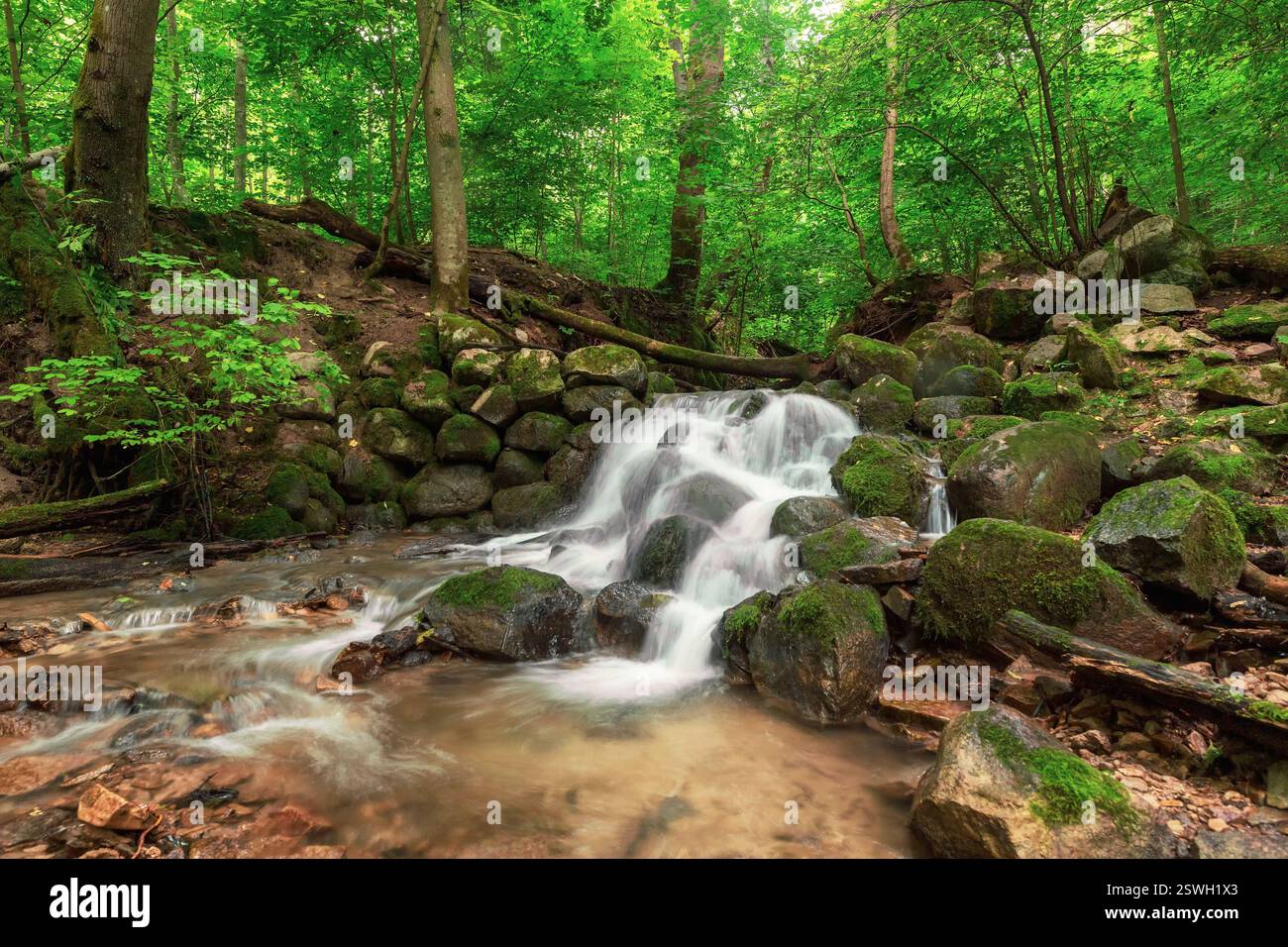 Green forest and waterfall hi-res stock photography and images - Alamy