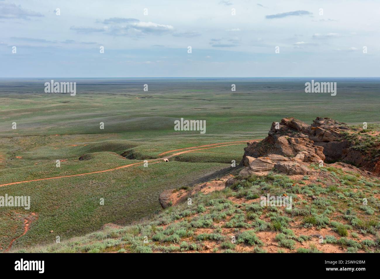 Green steppe in the distance. Dirt road through the steppe Stock Photo ...