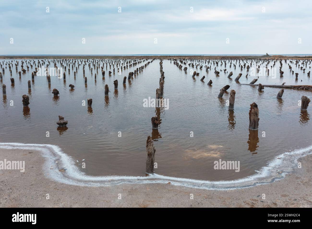 Salt lake with wooden drains. Coastal barrier, wooden breakwater, poles ...