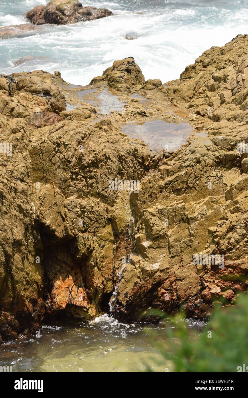 Rocks in the sea of â€‹â€‹tropical beaches in Oaxaca, Mexico Stock ...