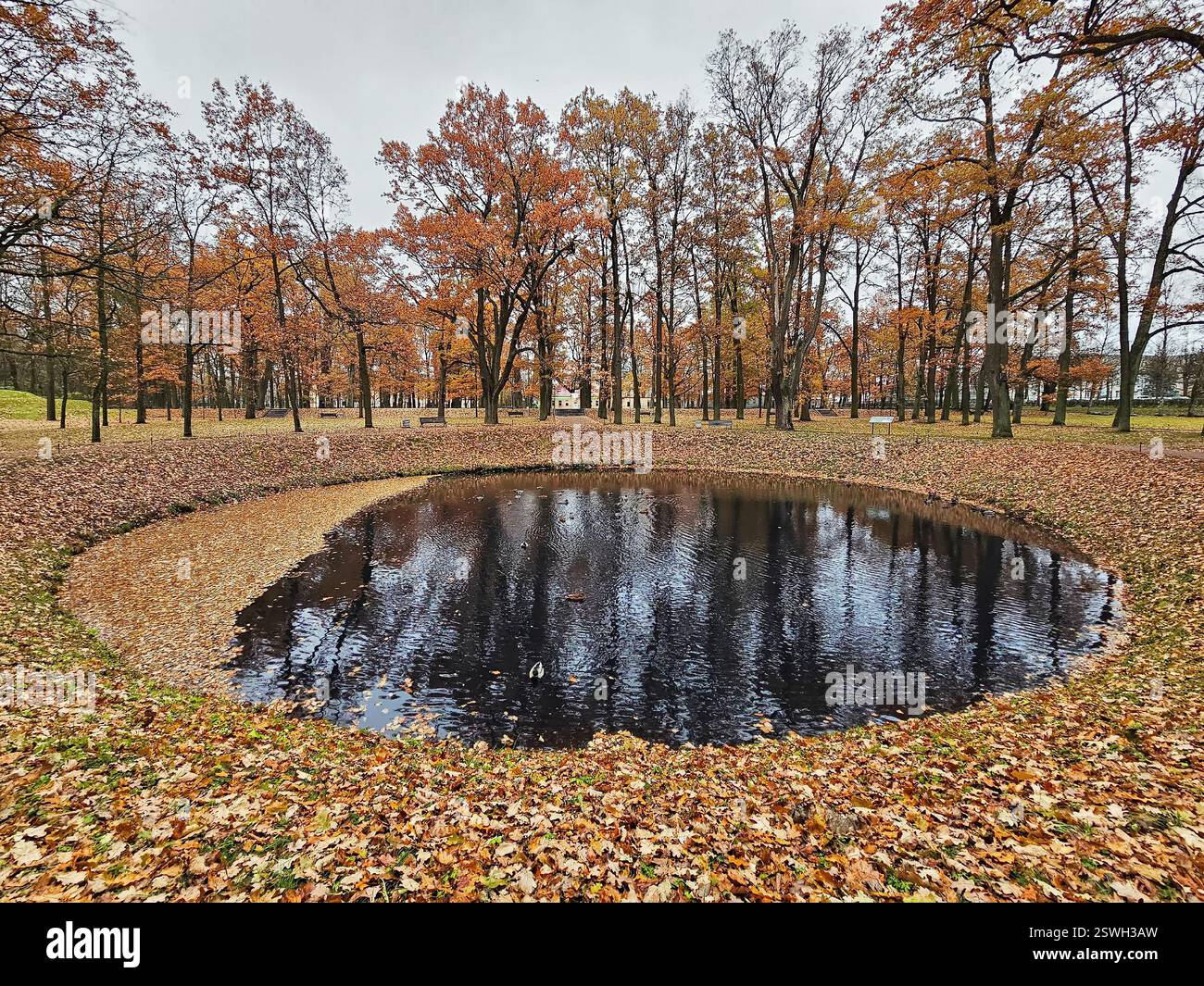 Round pond in autumn. Fallen leaves on the surface of the water in the ...