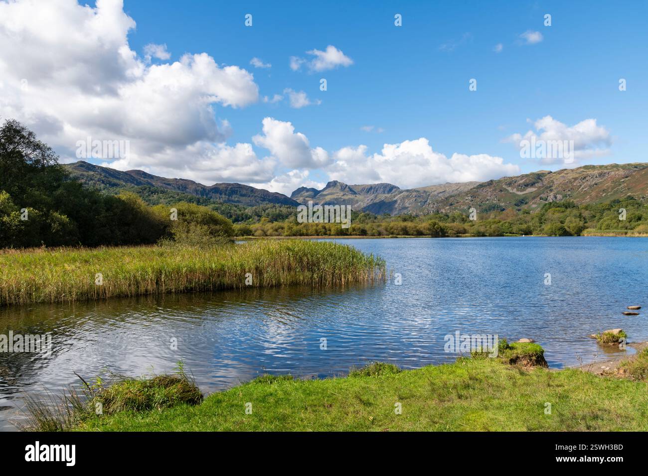 Beautiful scenery near Elterwater in the Lake District national park ...