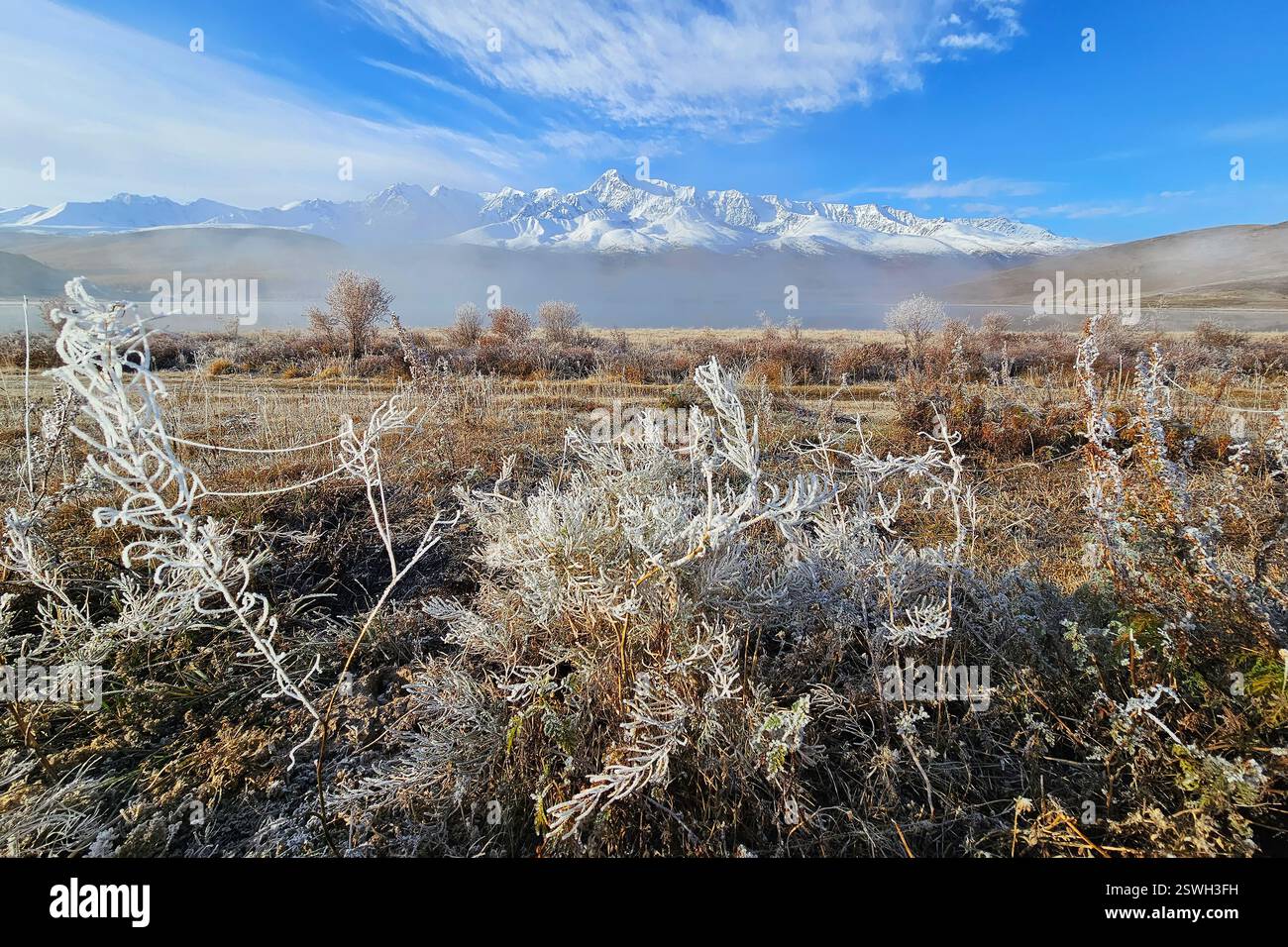 Hoarfrost on beautiful sunny hi-res stock photography and images - Alamy