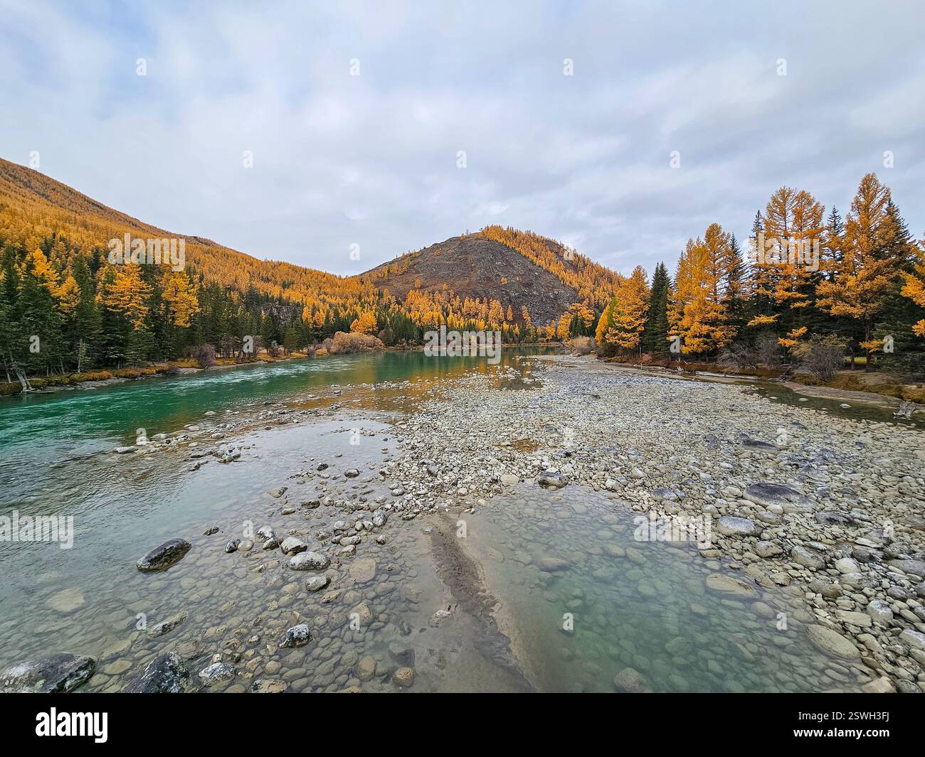 Shallow river and many river rocks. Low water season. Wide shallow ...