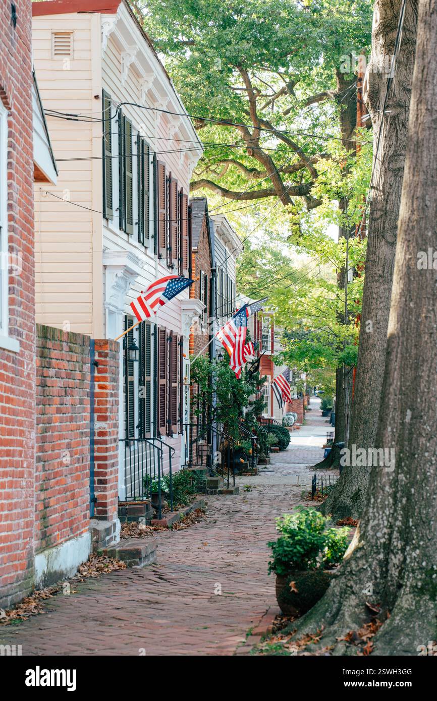 This picturesque street in Alexandria features charming brick houses ...