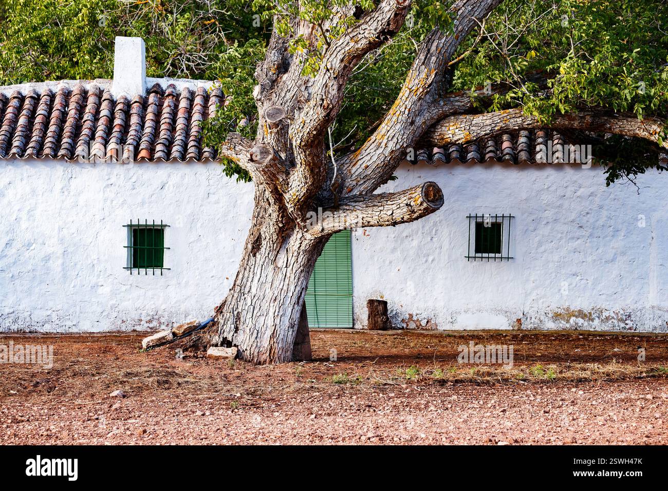 Alhambra alone hi-res stock photography and images - Alamy