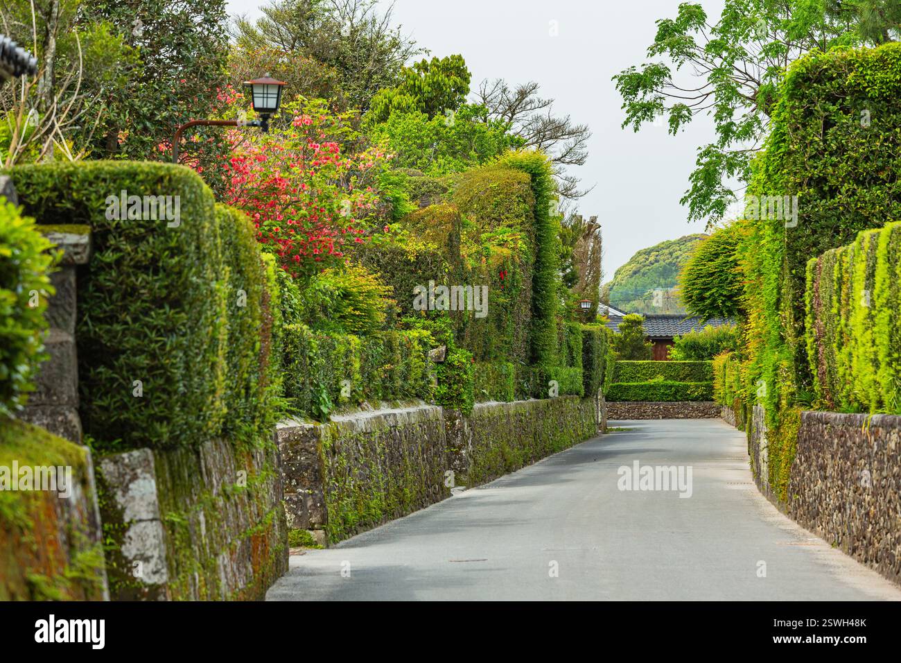 Samurai residence street in Chiran, Minamikyushu City, Kagoshima ...