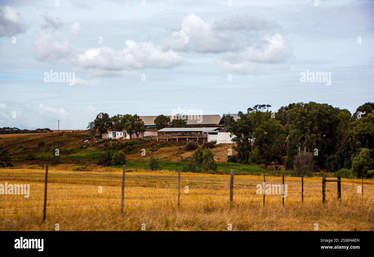 Rural farm landscape with trees and fields Stock Photo - Alamy