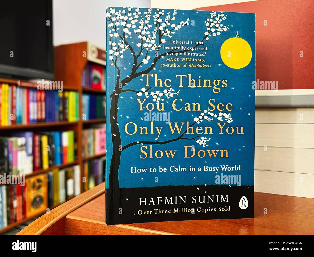 Lviv, Ukraine - February 20, 2025: The things you can see only when you ...