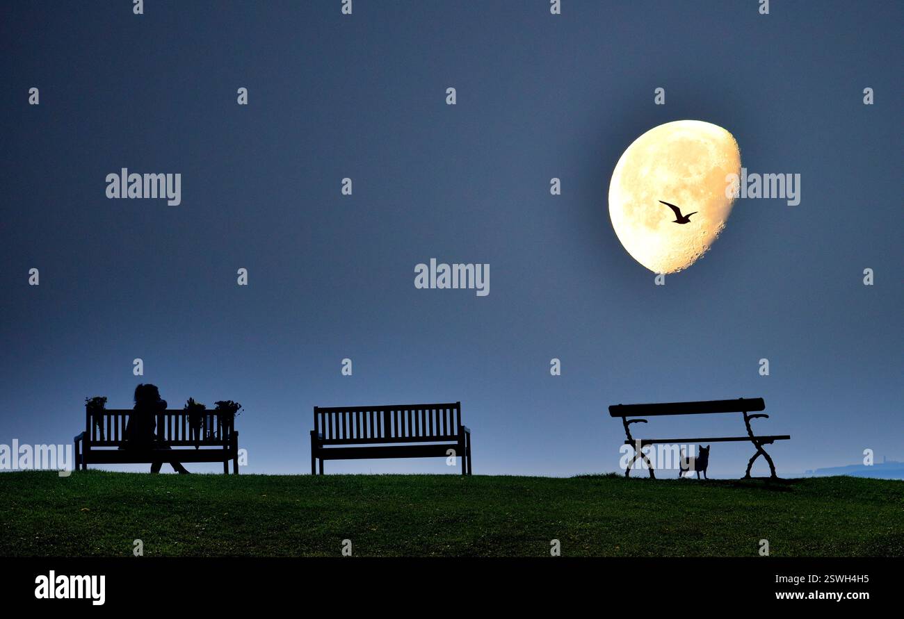 Girl on phone sitting on a bench with her dog against full moon and ...