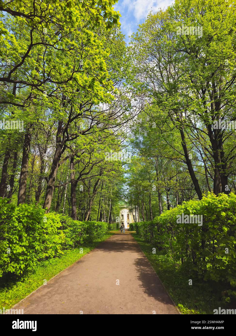 Vertical view path in hi-res stock photography and images - Alamy