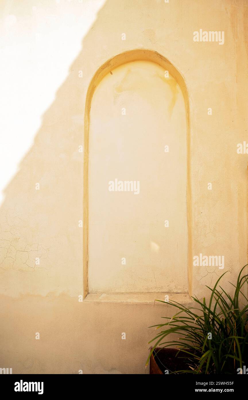Sunlit stucco wall with an arched niche and a potted plant Stock Photo ...