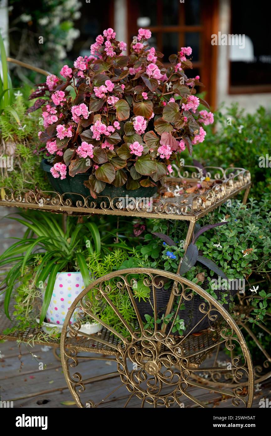 Ornate vintage cart with pink flowers and lush greenery Stock Photo - Alamy